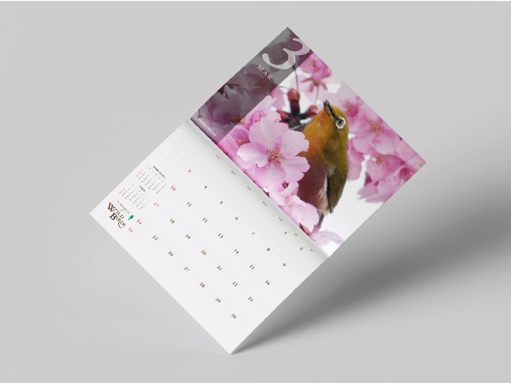 A catalog, brochure, and booklet with high quality design | Upwork