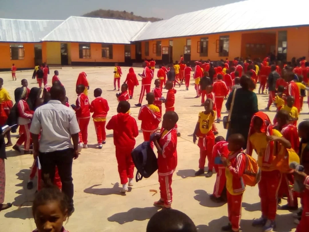 Amazing proofread and edited manuscript | Upwork