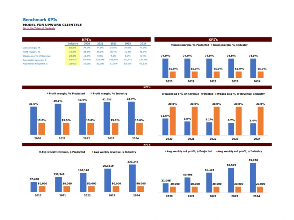 Financial Model for your business along with Graphs, KPIs and IRR , etc ...