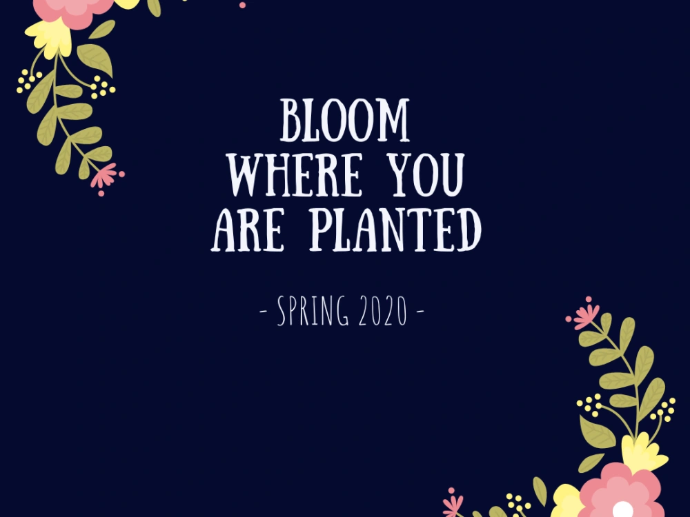 Headers & Covers| Instagram content creator| |classic social media ...