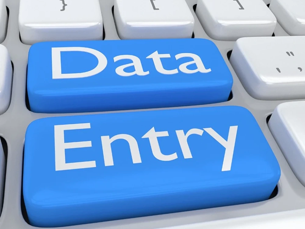 Accurate Entry Data and a high quality work that will your expectation ...