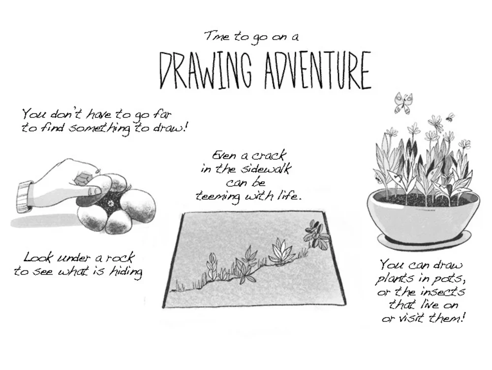 A clear, stylish instructional line drawing | Upwork