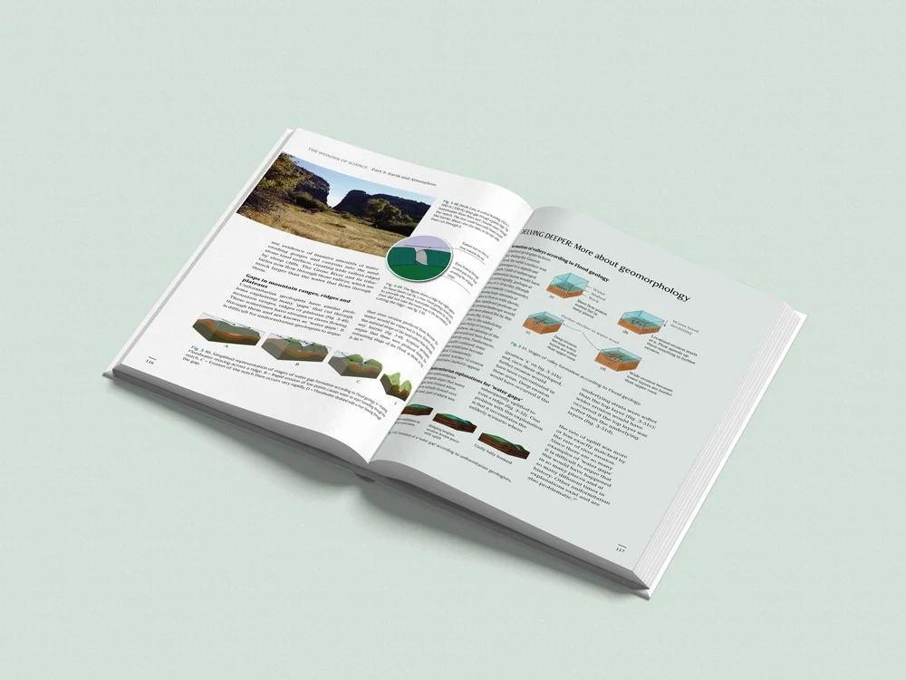 A professional book layout | Upwork