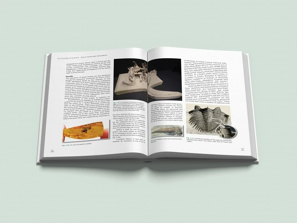 A professional book layout | Upwork