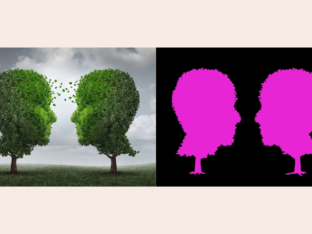 An accurate annotated images (Bounding box, polygon ,masking task) | Upwork