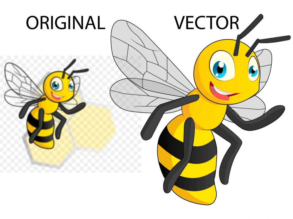 High quality vector tracing of your image , logo , icon or text | Upwork