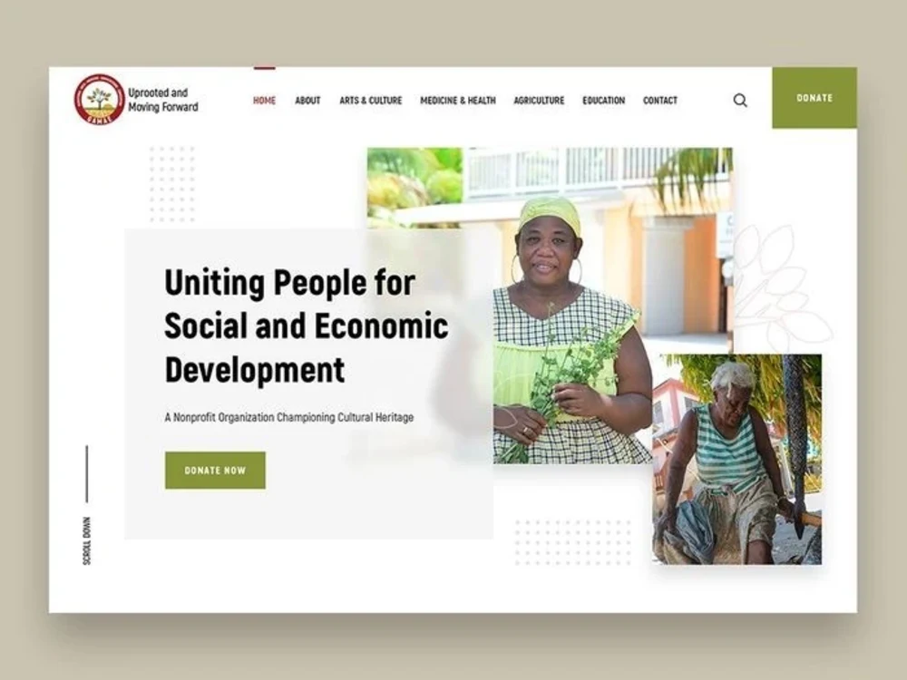 Interactive web design for your website | Upwork