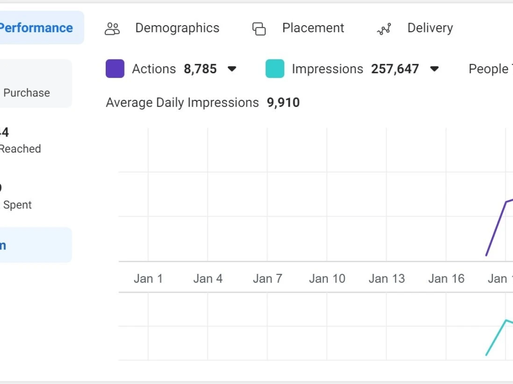 Successful Facebook Ads campaign setup and monitoring | Fb Ads | Upwork
