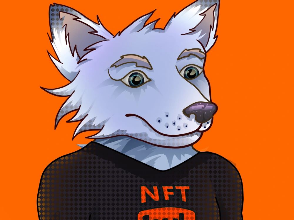 NTF for your store | Upwork