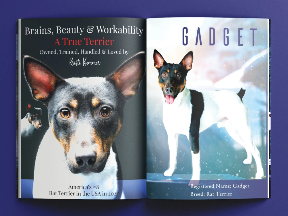 Stunning Catalog,Product Catalogue,Booklet,Magazine Design | Upwork