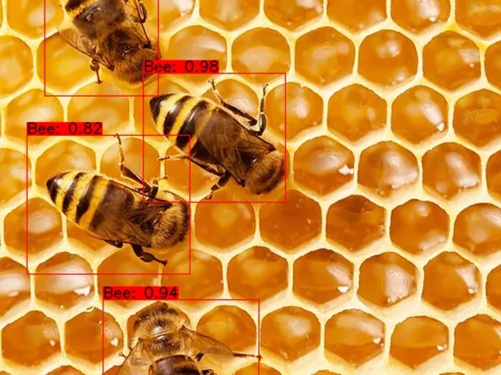 An Real Time Object Detection And Tracking System Based On Custom Data Upwork