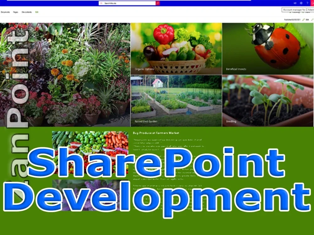 Eye-catching no code rapid SharePoint OOTB site development A to Z | Upwork