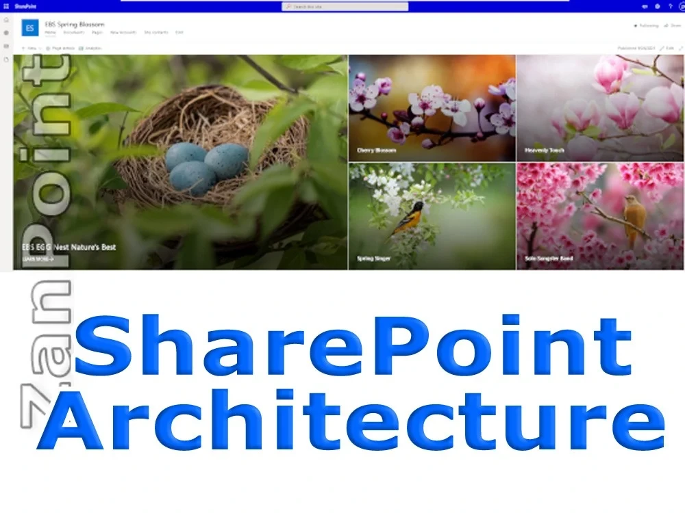 Eye-catching no code rapid SharePoint OOTB site development A to Z | Upwork