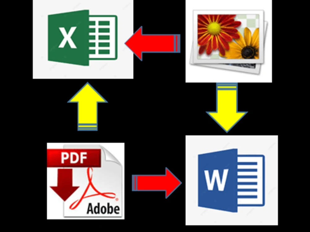 Data entry pdf and images into word or excel sheet | Upwork