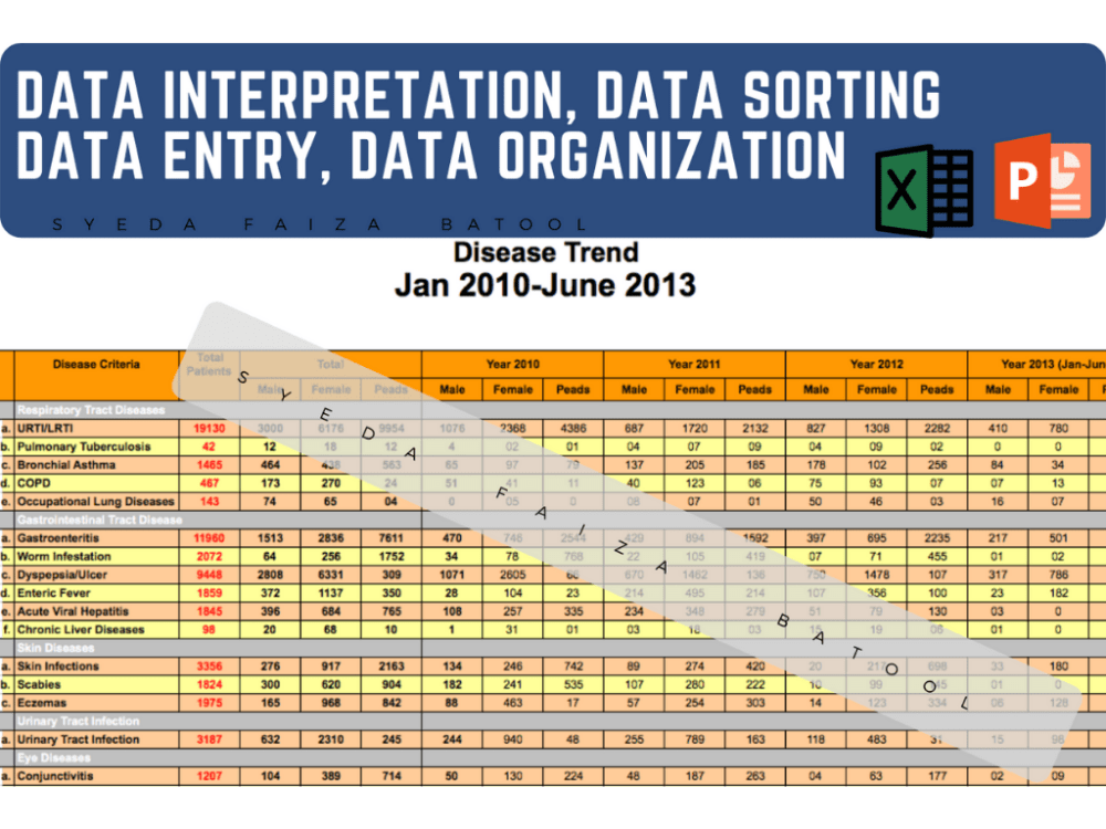 A1 data interpretation, data organization, data sorting and data entry ...