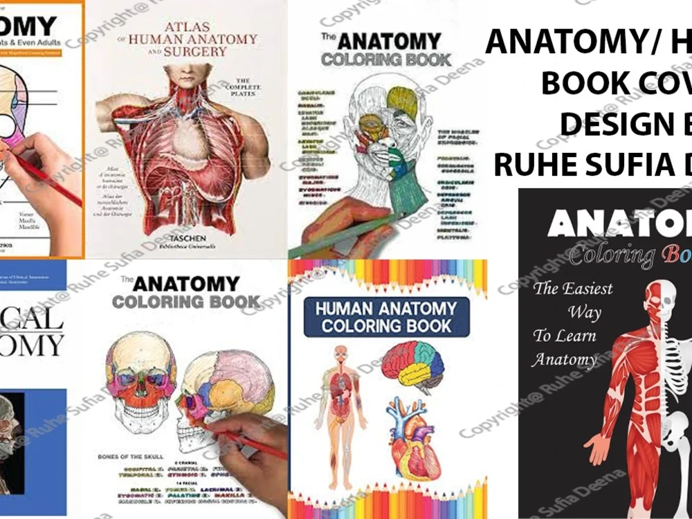 Design for anatomy book cover-coloring page-human body parts within 2 ...
