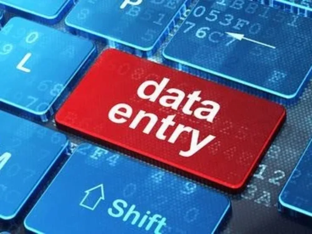 Data Entry Through Excel Upwork