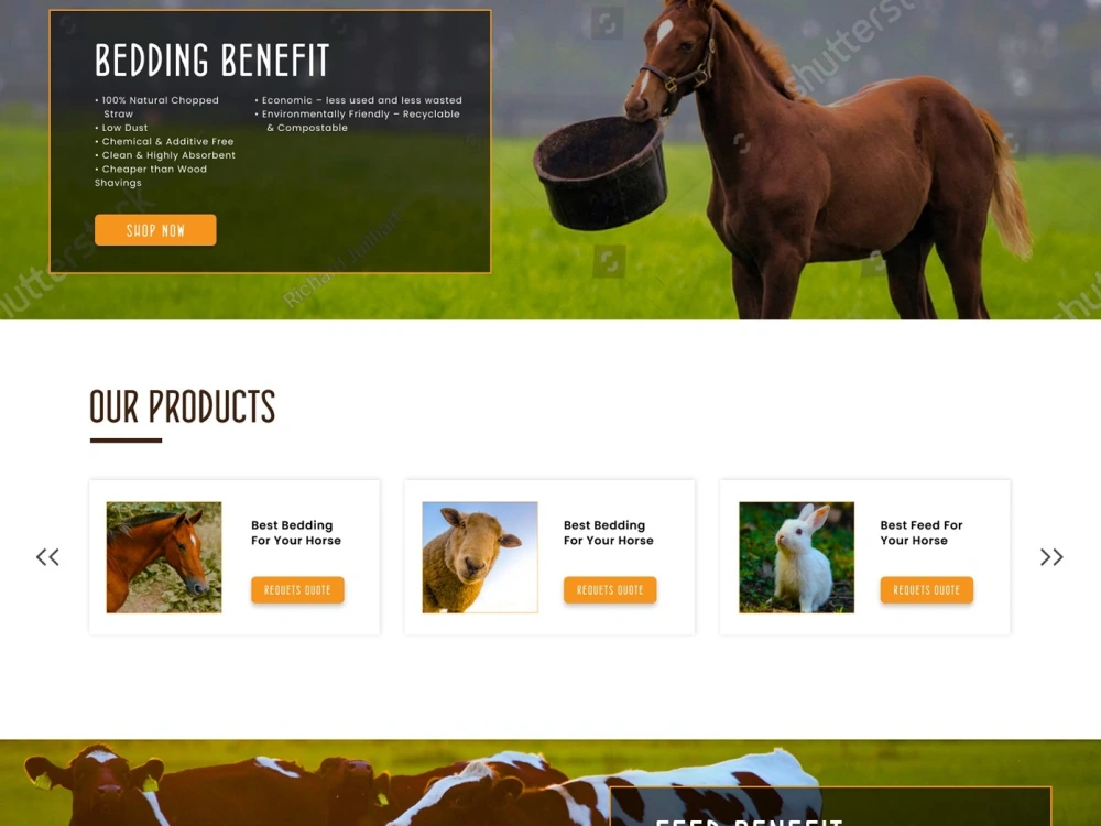 An amazing website UI design | Upwork