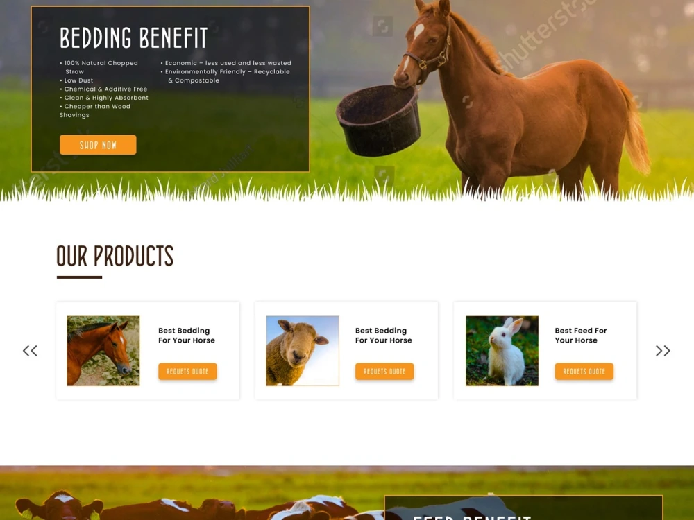 An amazing website UI design | Upwork