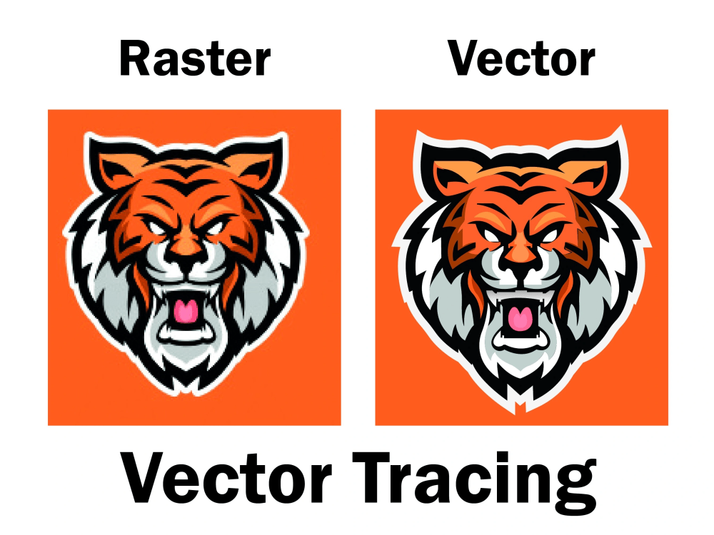 Your logo/image into vector format in 2 hours | Upwork