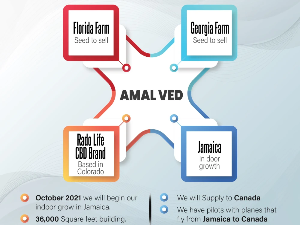 Attractive and creative Infographics | Upwork