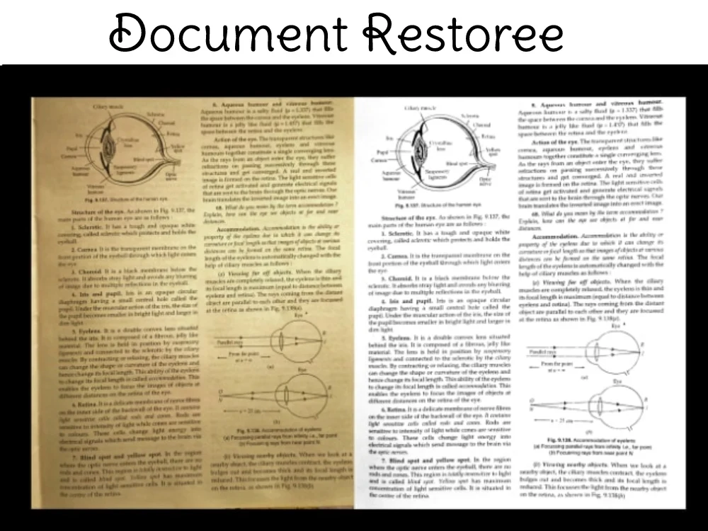 Repair restore fix your old, damaged signature and document | Upwork