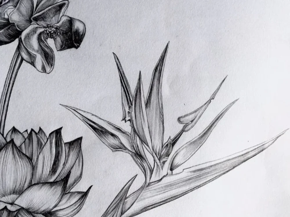 Unique hand made illustrations | Upwork