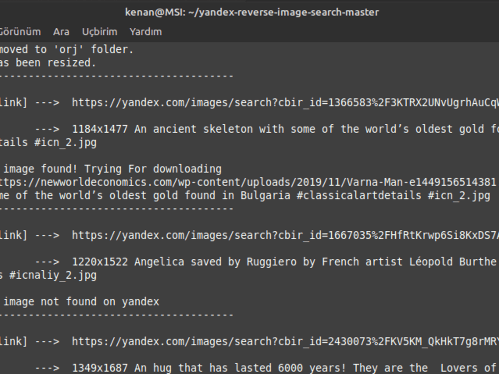 Reverse image search service through yandex image search site | Upwork