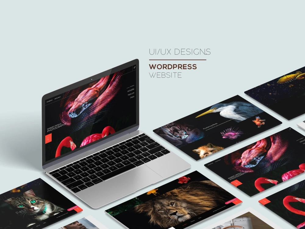 A Unique Modern Professional Responsive Website UI/UX design | Upwork