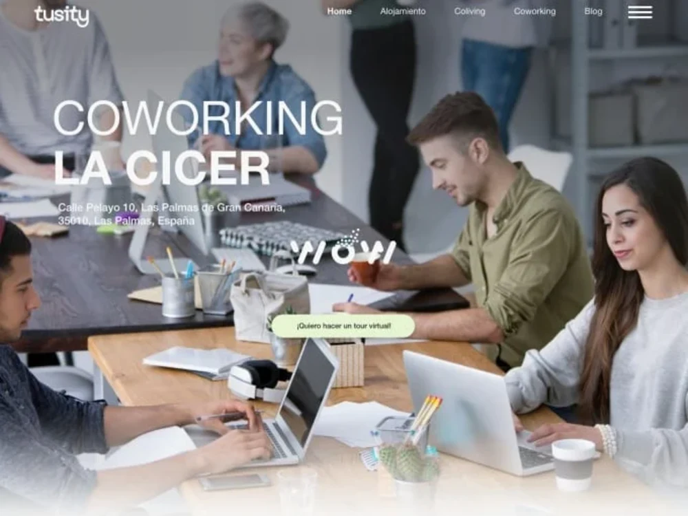 Website made with HTML CSS and JS | Upwork