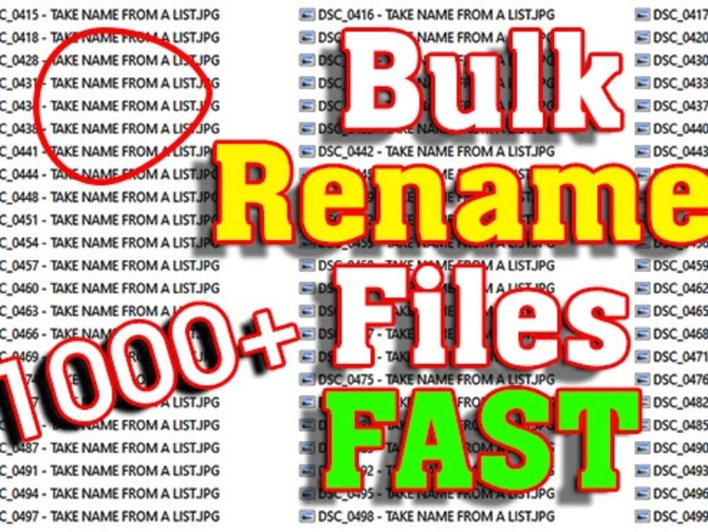 1000 files or folders renamed professionally | Upwork