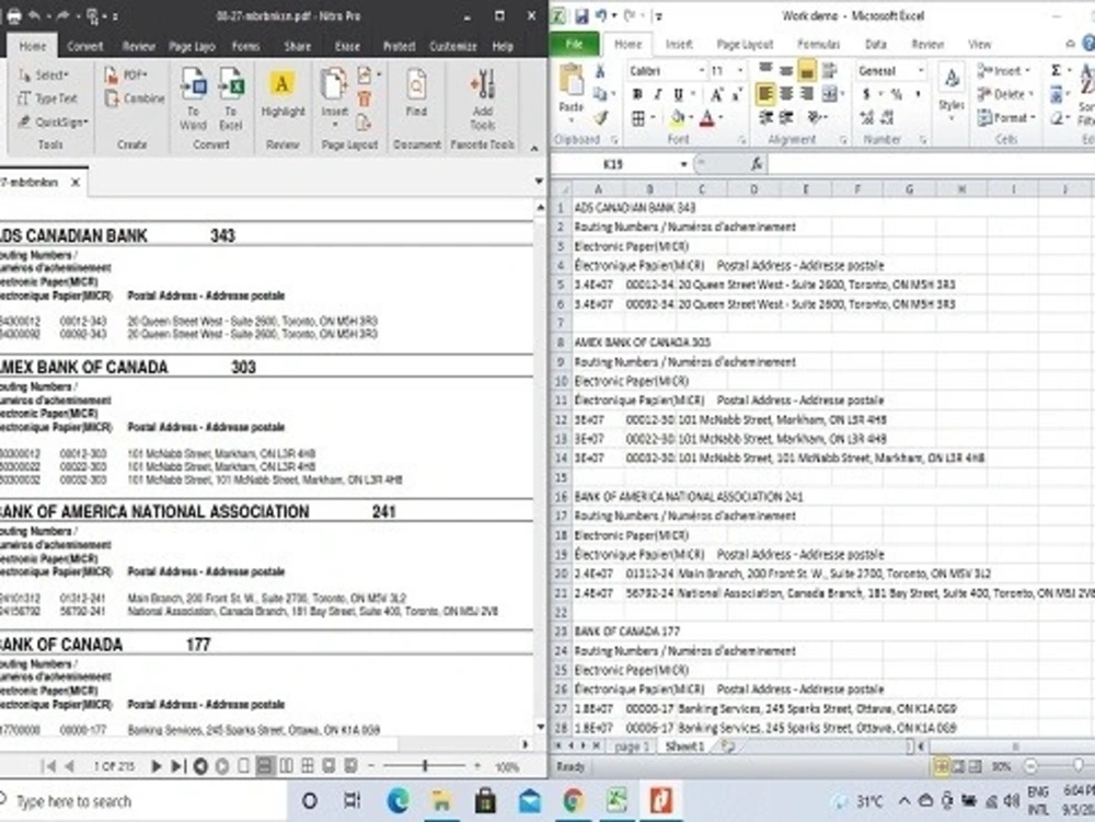 Pdf to excel or any bank statements converted into excel, csv, xls or xlsx | Upwork