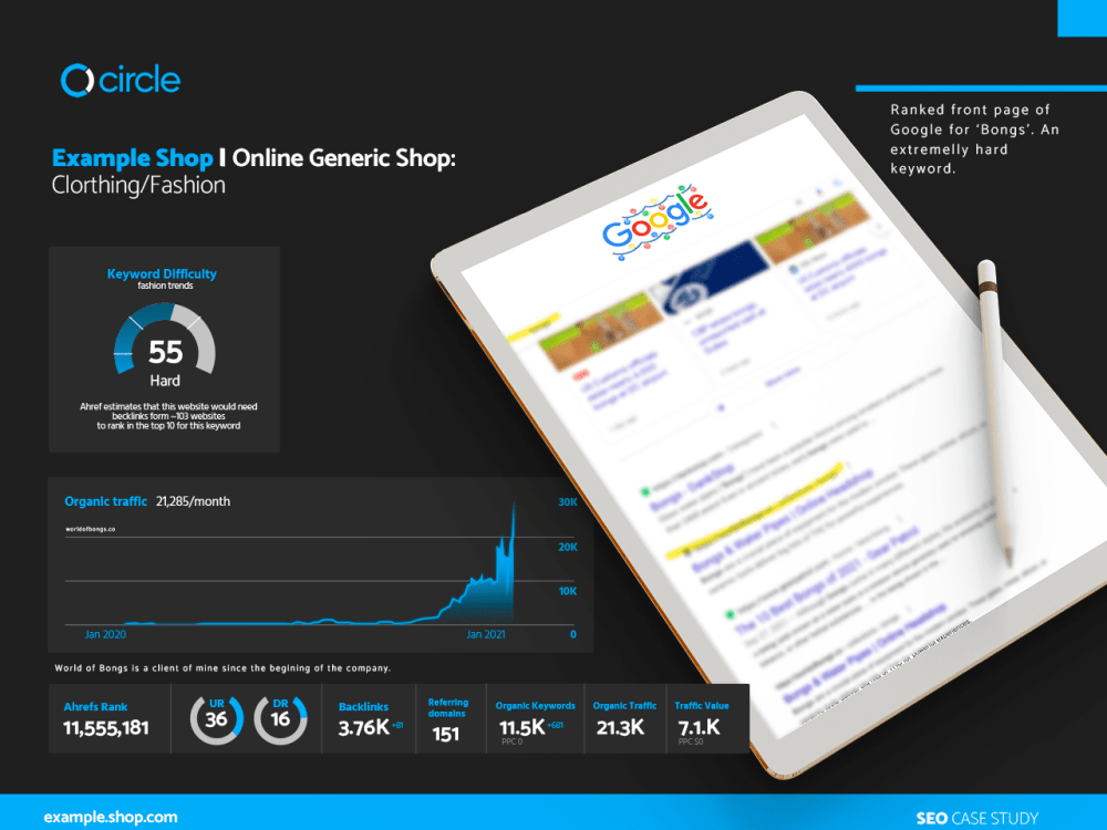 A modern SEO portfolio or CV with data visualization | Upwork