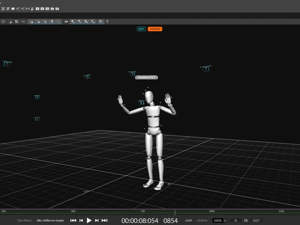 A set of Animations from Motion Capture | Upwork