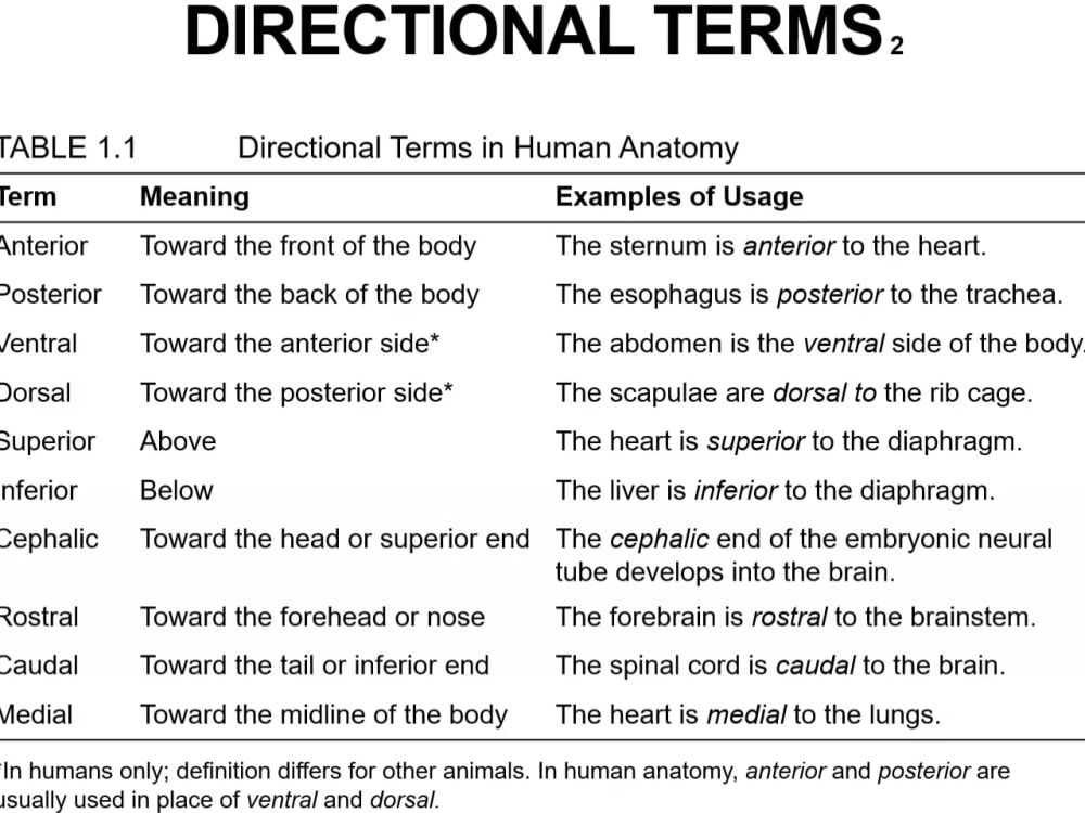 A fantastic results and carefully cultural sensitive translation | Upwork