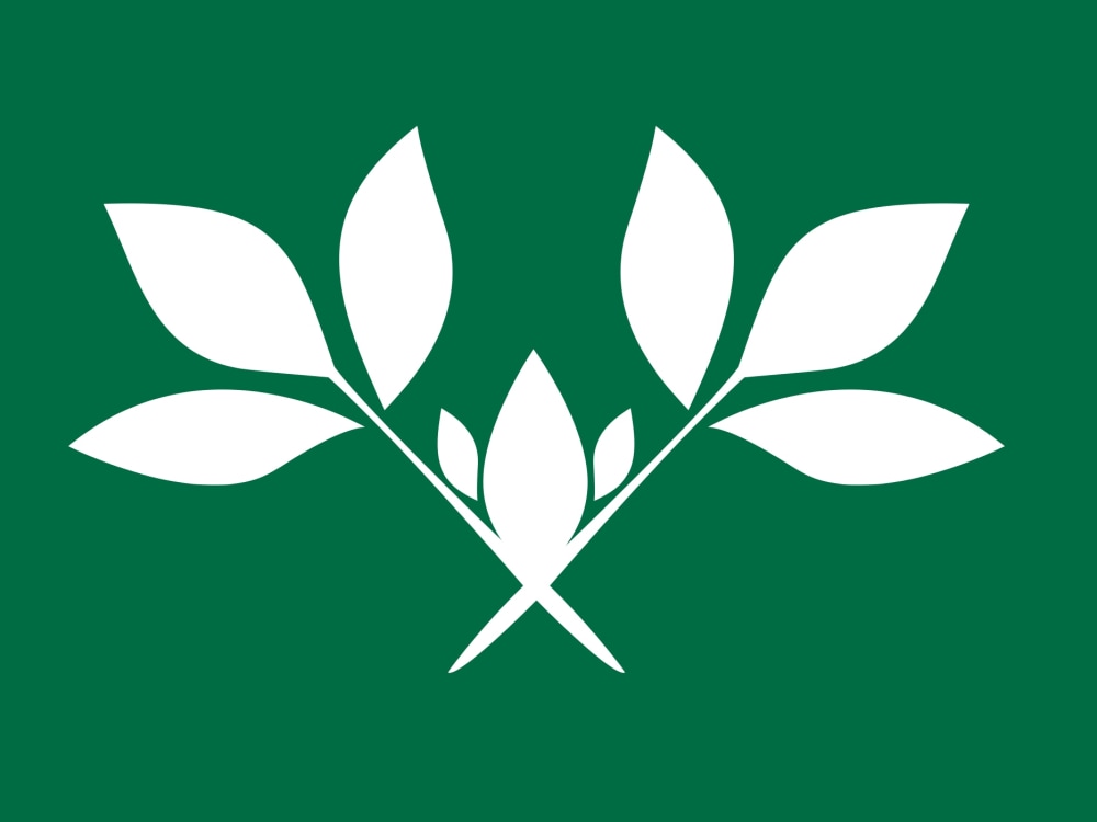 A custom flag designs | Upwork