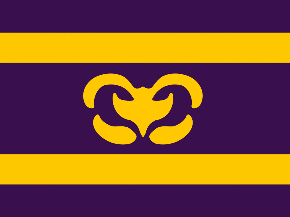 A custom flag designs | Upwork