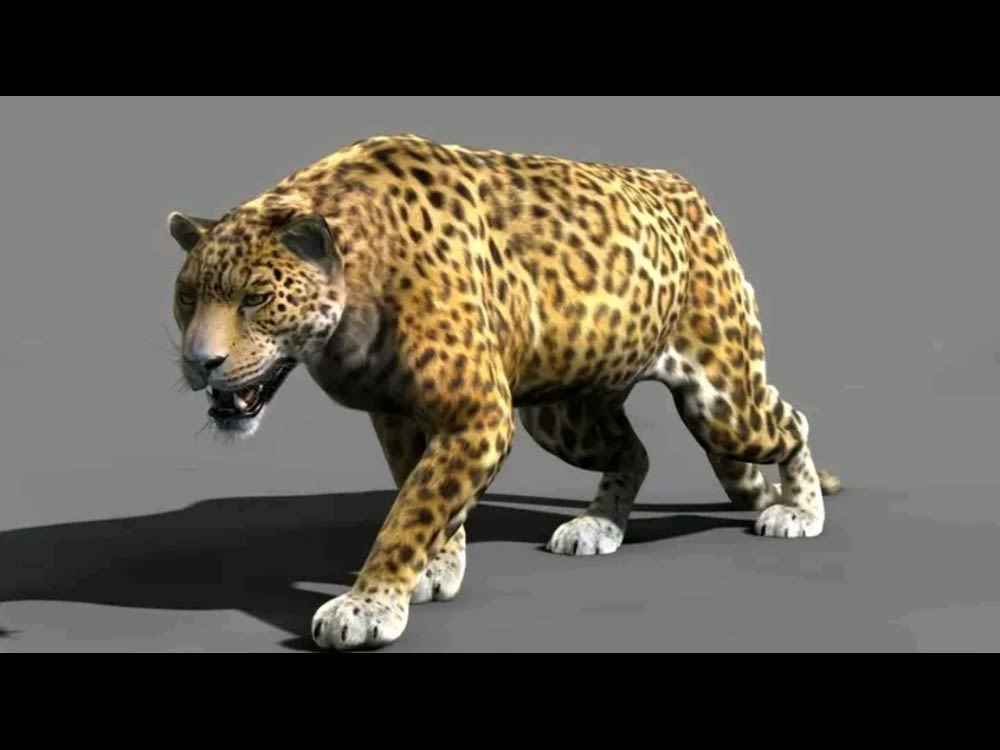 Realistic 3d animal model with 8k rendering and 1080p resolution ...
