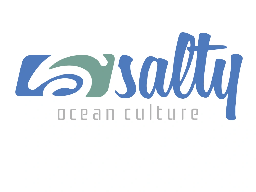 A WORLD-CLASS LOGO in TWO HOURS or less! | Upwork