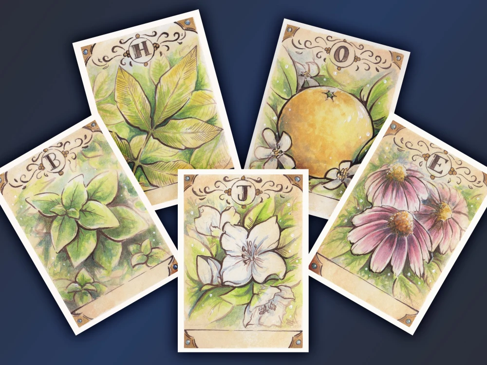 Unique illustration cards for board games, TTRPG, Tarot, etc. | Upwork