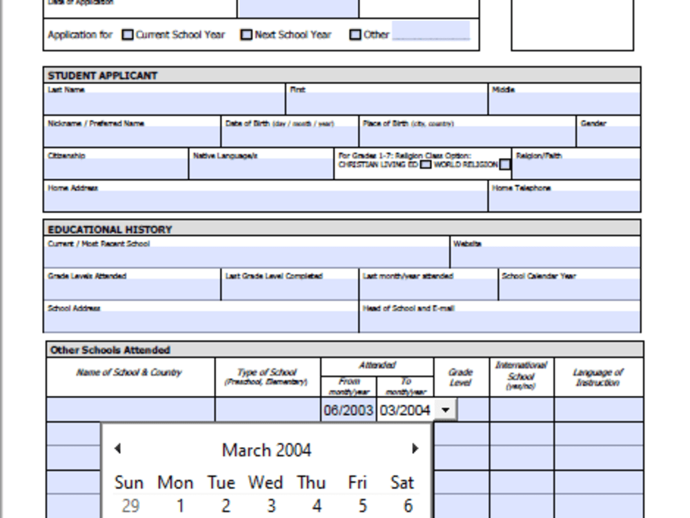 A professionally designed fillable form in Adobe PDF | Upwork