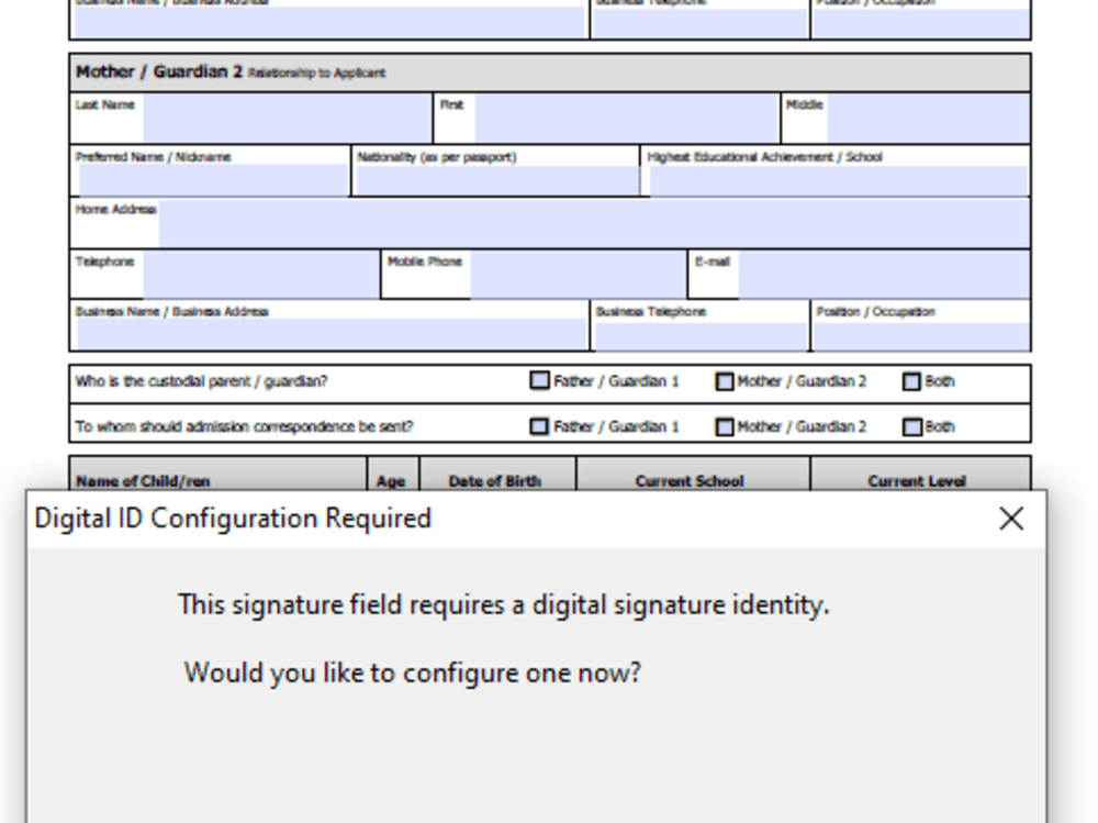 A professionally designed fillable form in Adobe PDF | Upwork