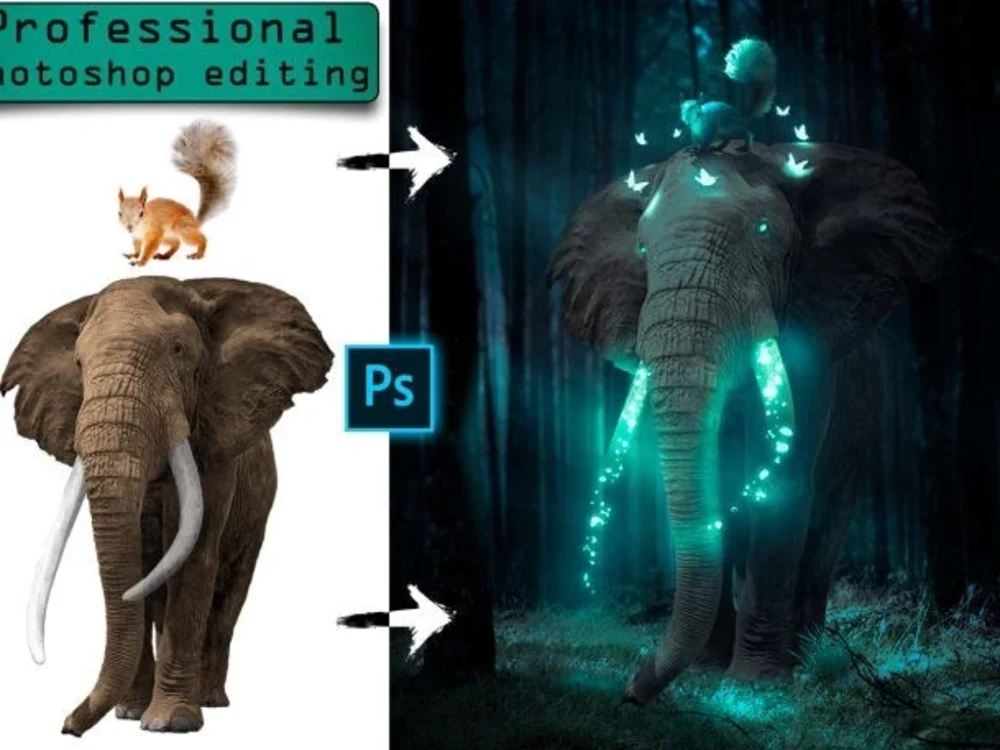 Professional photoshop editing and retouching | Upwork