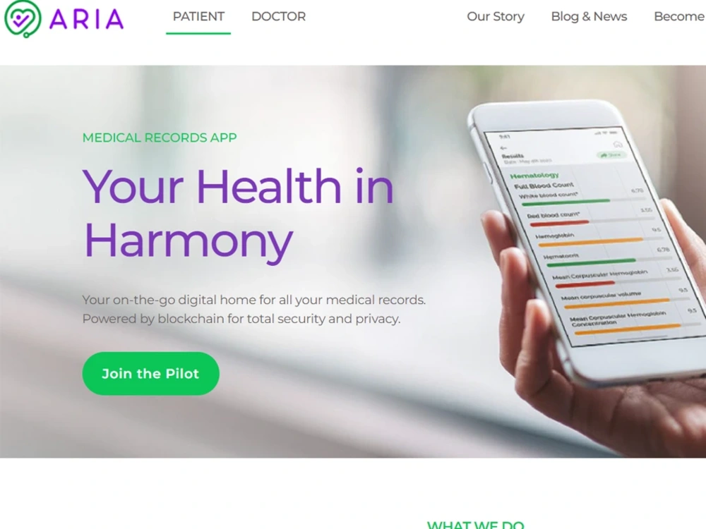 A customized website In React Js, fully responsive, Performance-oriented | Upwork