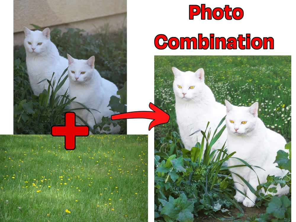 Your photos combined to create a seamless photo composite. | Upwork