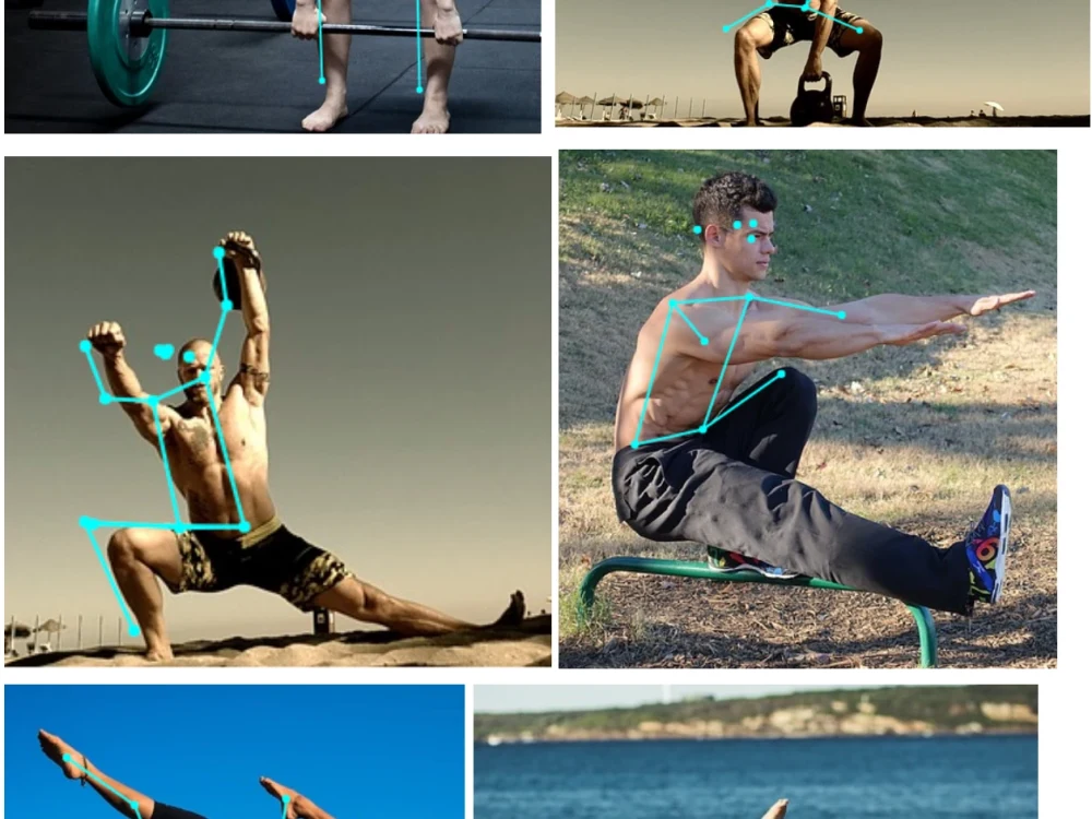 A pose estimation model, object detection and tracking. | Upwork