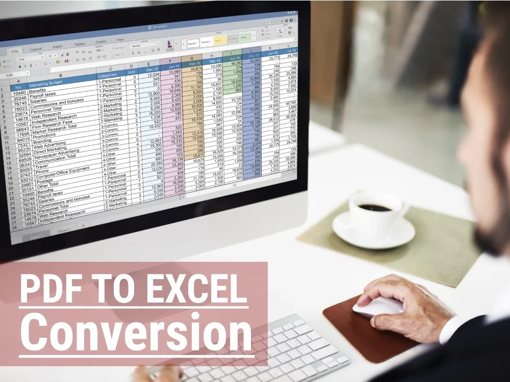 PDF to Excel/CSV/Google Spreadsheet Conversion | Upwork