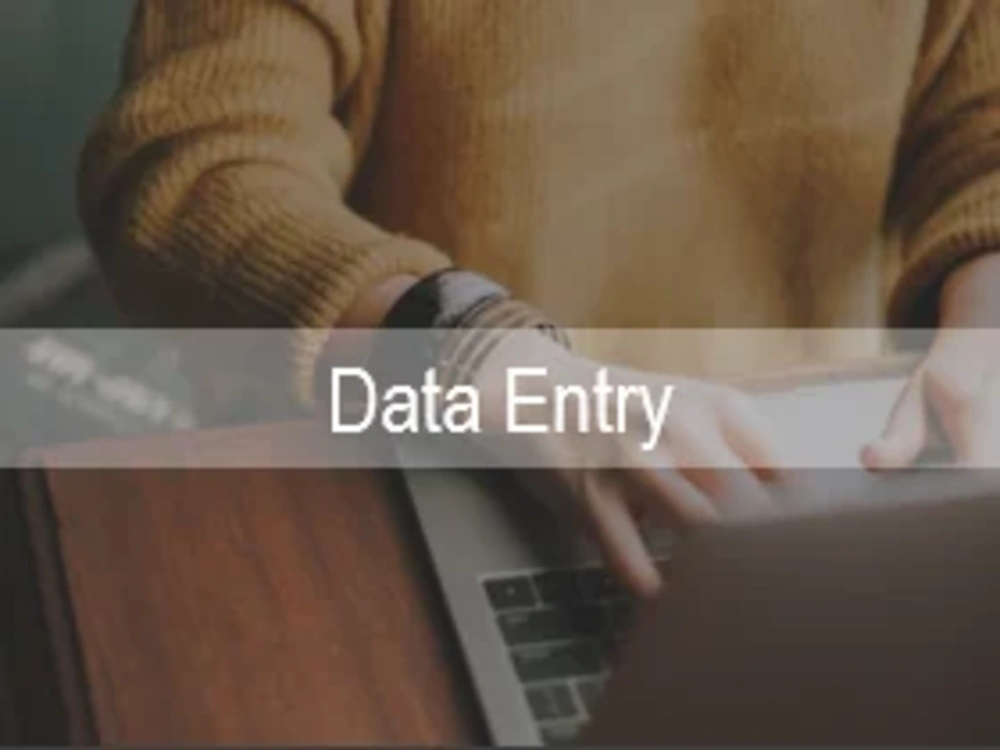 Accurate data entry, manual typing, PDF conversion to Word & Excel. | Upwork