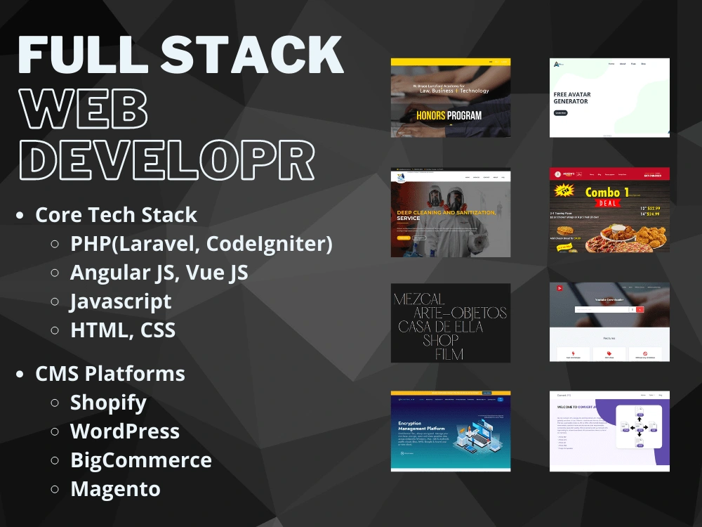 Full Stack Website Developer, CMS, SaaS, ERP Expert. | Upwork
