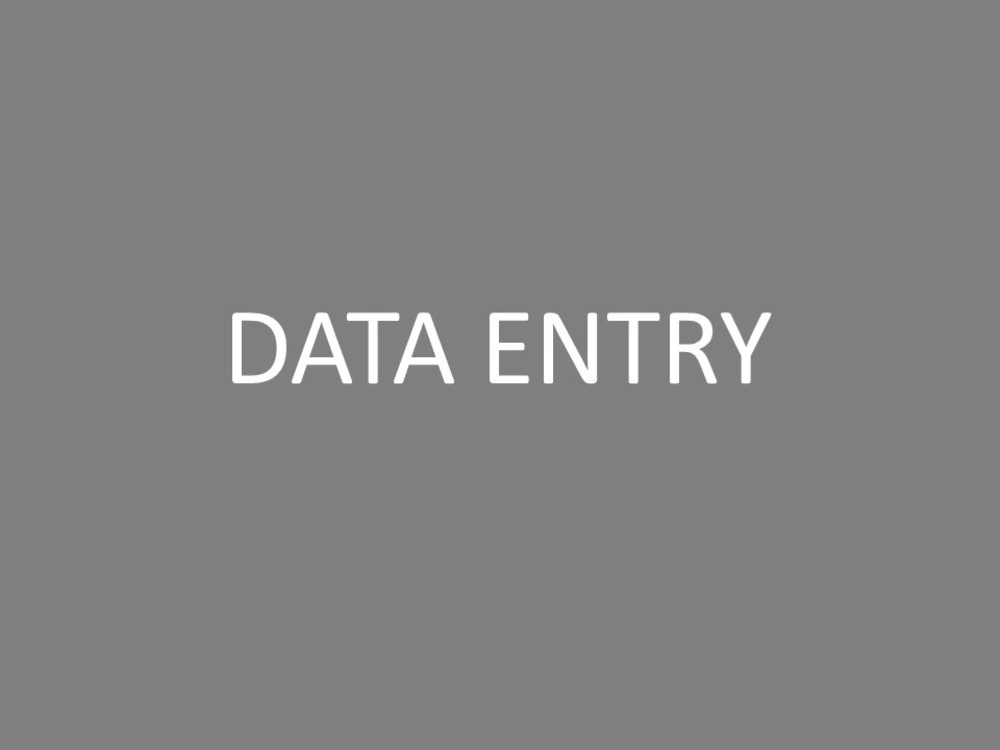 Accurate and fast data entry in excel, web research and b2b lead ...